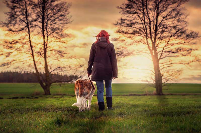 Cómo pasear a tu perro - Planeta Perro